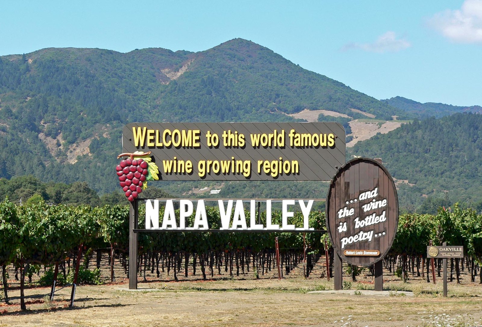 Top 10 Wine Regions in the World and Their Signature Grapes
